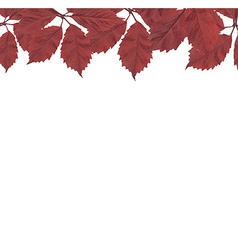 Autumn border with leaves Royalty Free Vector Image