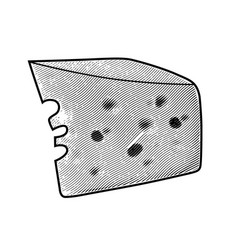 Parmesan cheese drawing Royalty Free Vector Image