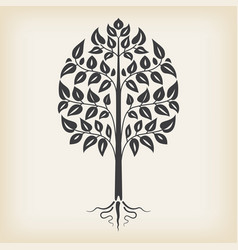 Tree roots Royalty Free Vector Image - VectorStock