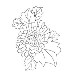 Drawing sakura flower cherry blossom outline Vector Image