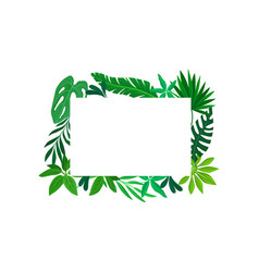 Abstract nature frame Royalty Free Vector Image