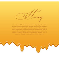 Honey drip syrup seamless pattern template lorem Vector Image