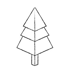 Isometric pine tree design Royalty Free Vector Image