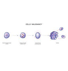Cell malignancy process Royalty Free Vector Image
