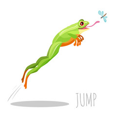 Cartoon frog stacked isolated on white background Vector Image