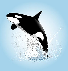 Set killer whales collection stylized orca Vector Image