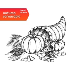 Cornucopia Horn of plenty with autumn harvest Vector Image