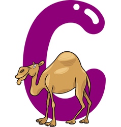 Camel zoo animal and wooden signboard Royalty Free Vector