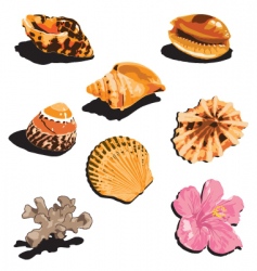 Ocean cockleshells cartoon sea shells Royalty Free Vector