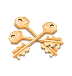 Three golden keys Royalty Free Vector Image - VectorStock