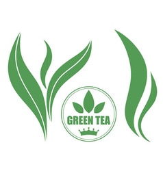 Turkish tea Royalty Free Vector Image - VectorStock