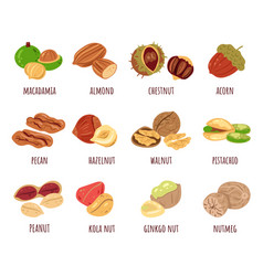 Fitness nut isolated Royalty Free Vector Image