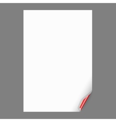 Curled Paper Corner A4 with transparent background