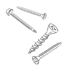 Screw sketch screw sketch icon isolated on Vector Image