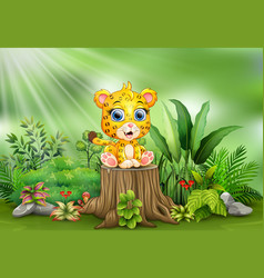 Cute leopard cartoon Royalty Free Vector Image
