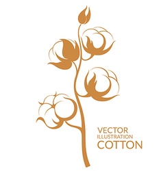 Cotton flower branch realistic composition Vector Image