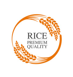 Premium rice great quality design concept Vector Image