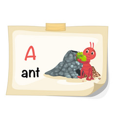 Isolated animal alphabet letter a-ant apple Vector Image