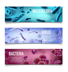 Viruses medical poster for viral and bacteriology Vector Image