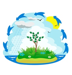 Water cycle in nature Royalty Free Vector Image