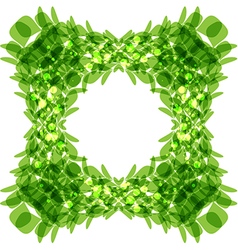 Leaves frame Royalty Free Vector Image - VectorStock