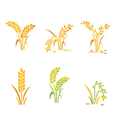 Farmer planting rice Royalty Free Vector Image