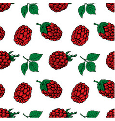 Raspberries pattern Royalty Free Vector Image - VectorStock
