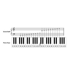 Realistic piano keys musical instrument keyboard Vector Image