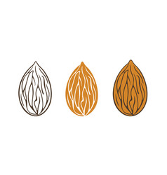 Almond icon Royalty Free Vector Image - VectorStock