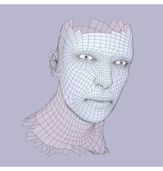 Abstract wire frame human body polygonal 3d model Vector Image
