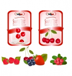 Cherries Royalty Free Vector Image - VectorStock