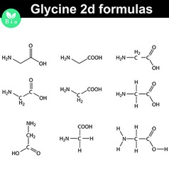 Glycine chemical structures different styles Vector Image