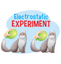Science static electricity experiment of balloon Vector Image