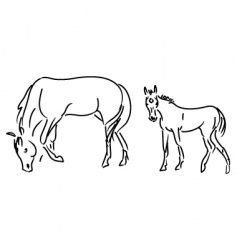 Foal and mare Royalty Free Vector Image - VectorStock