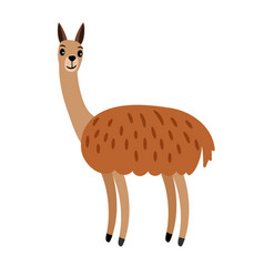Vicuna cute cartoon animal Royalty Free Vector Image