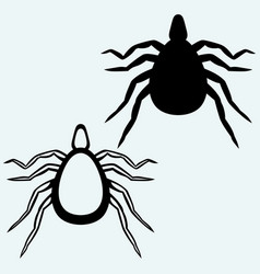 Mite isolated Royalty Free Vector Image - VectorStock