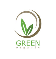 Organic green leaf botany gold logo Royalty Free Vector