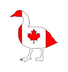 Moose in flag of Canada Royalty Free Vector Image
