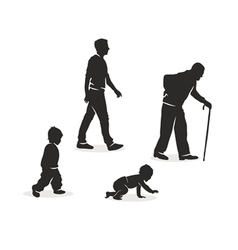 Different stage of life of Royalty Free Vector Image