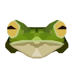 Low poly frog Royalty Free Vector Image - VectorStock