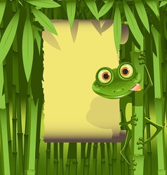 Frog with a camera Royalty Free Vector Image - VectorStock