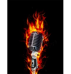 Fire burning phoenix bird with black background Vector Image
