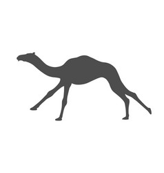 Camel Royalty Free Vector Image - VectorStock