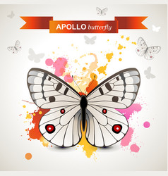 Swallowtail butterfly Royalty Free Vector Image