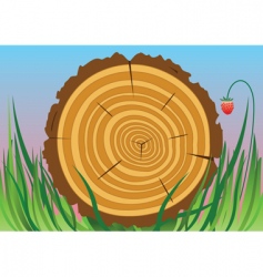 Wooden log cut Royalty Free Vector Image - VectorStock