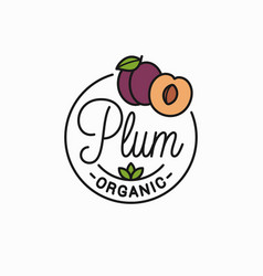 Plum fruit logo round linear logo slice Royalty Free Vector