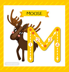 Letter m uppercase tracing mouse holding cheese Vector Image