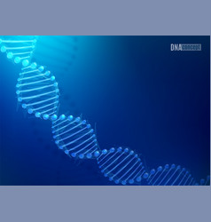 Telomere for scientific medical Royalty Free Vector Image