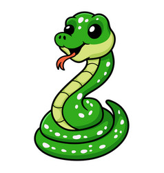 Cute green tree python cartoon Royalty Free Vector Image