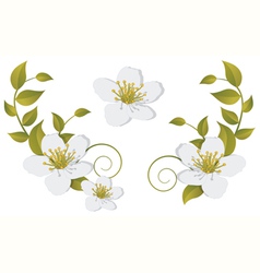 Flower design element Royalty Free Vector Image